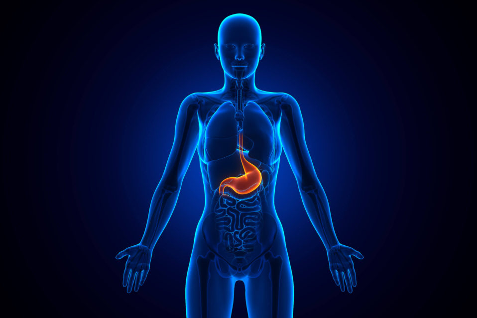 Antireflux and Esophageal Surgery | GlobeHealer