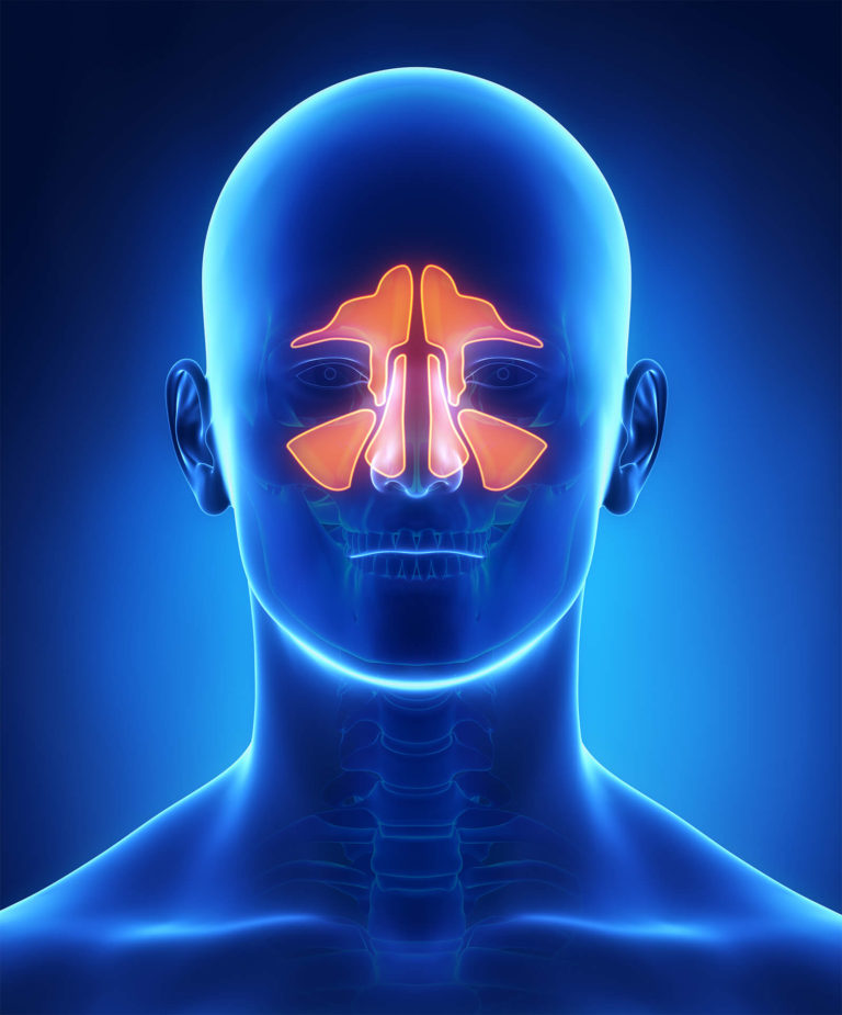 Endoscopic Sinus Surgery | GlobeHealer