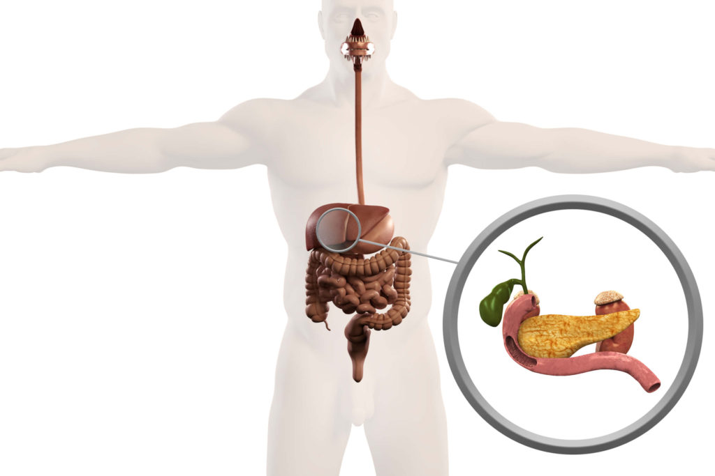 Biliary Drainage And Stenting GlobeHealer