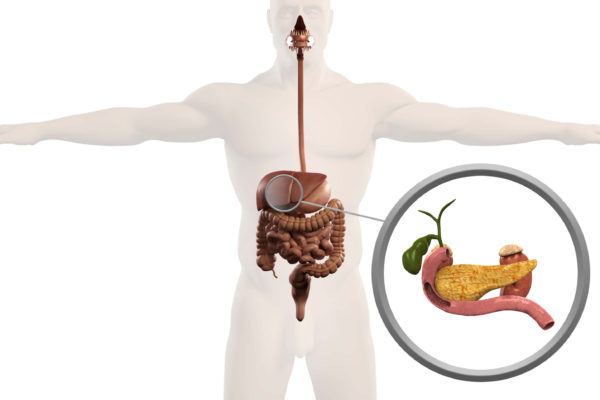 Biliary Drainage and Stenting | GlobeHealer